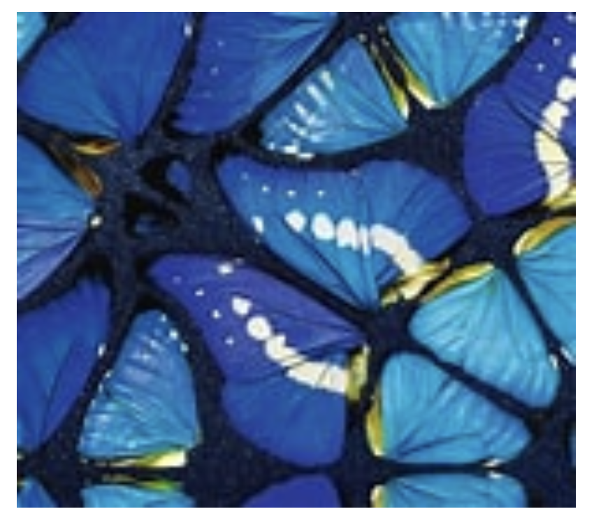 "The Physical Impossibility of Hirst in the Minds of the Living" - Stuart Wise | libcom.org